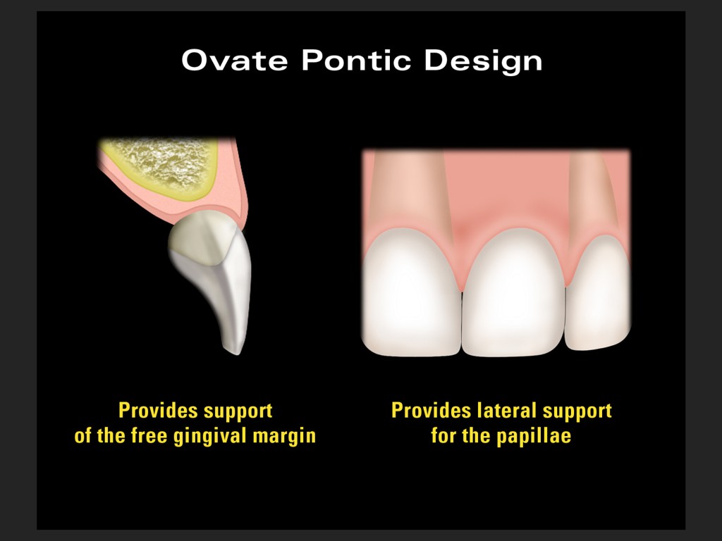 Illustrations | Harriet A. McCullough